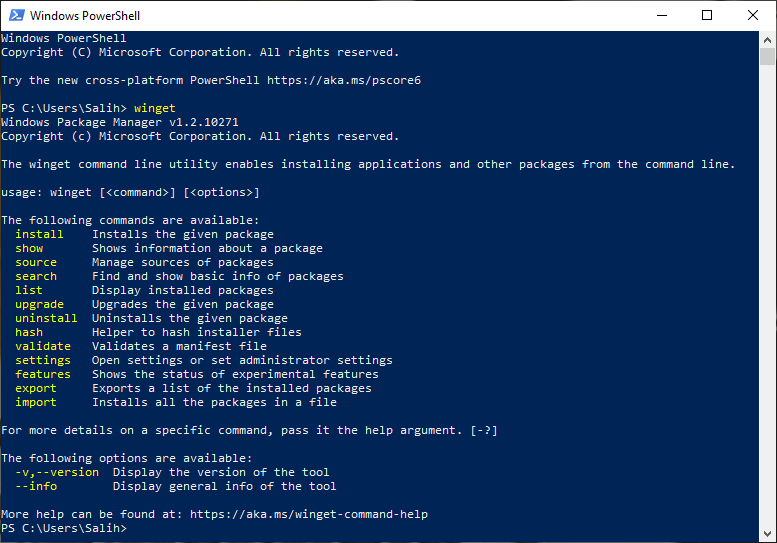 Winget | Επίσημος Windows Package Manager – Cerebrux